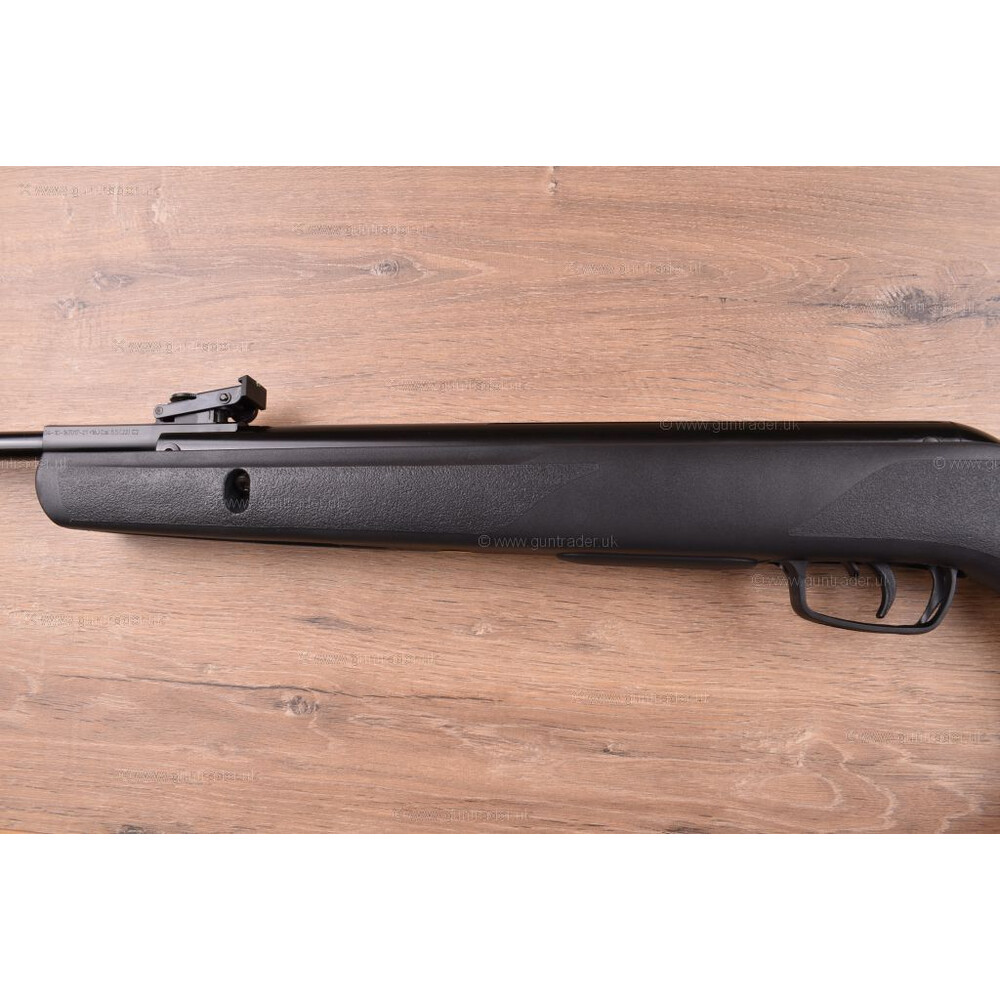 Gamo .22 Hornet